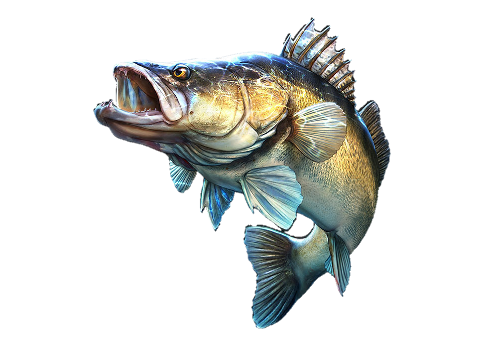 TECHNIQUE SPECIFIC ROD SELECTOR - WALLEYE EDITION – Fish Xtreme Rods